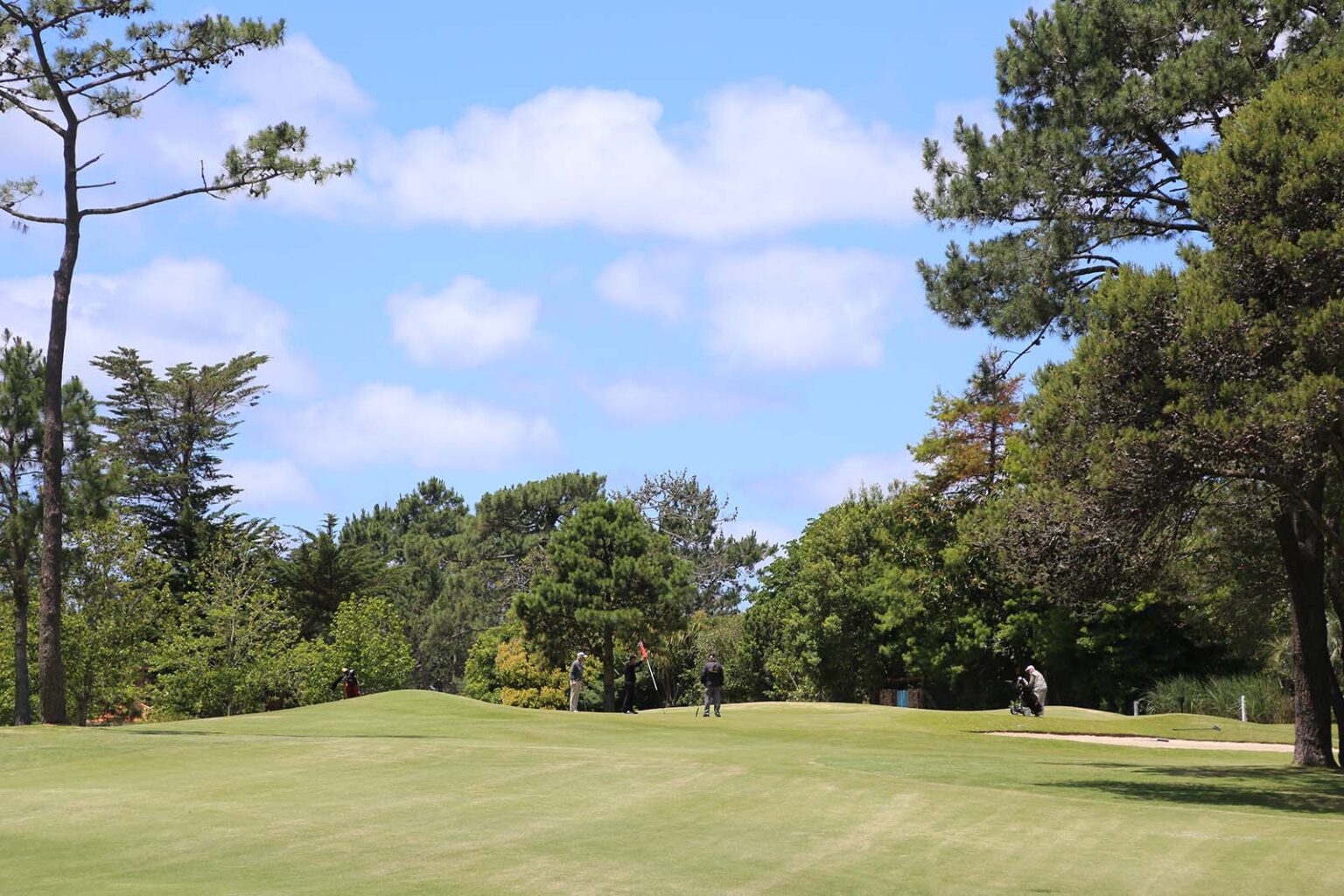 Se realizó la XXIV Copa Rincón Club de Golf : Rincón Club | Cabañas en ...