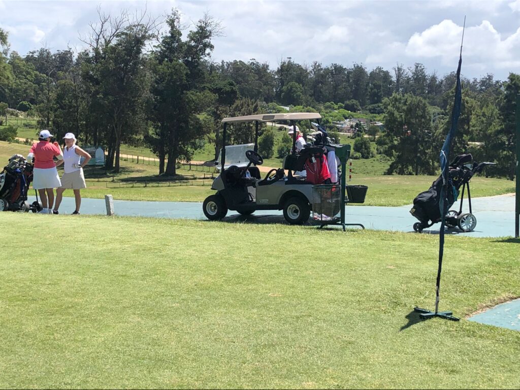 XXV Edición de la Copa Rincón Club de Golf : Cabañas en San Martín de ...