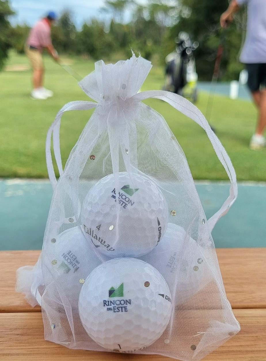 Se celebró la edición XXVI de la Copa Rincón Club de Golf : Cabañas en ...